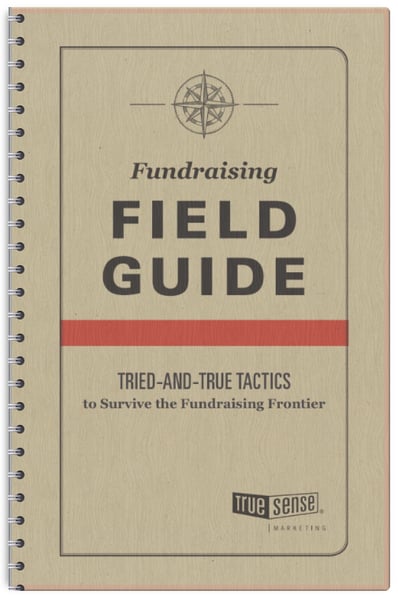 The 3 Types of Fundraising Stories to Use