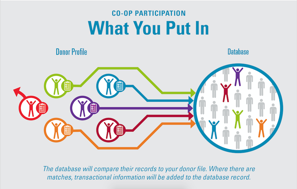 Cooperative Database: 5 Reasons Your Charity Should Participate