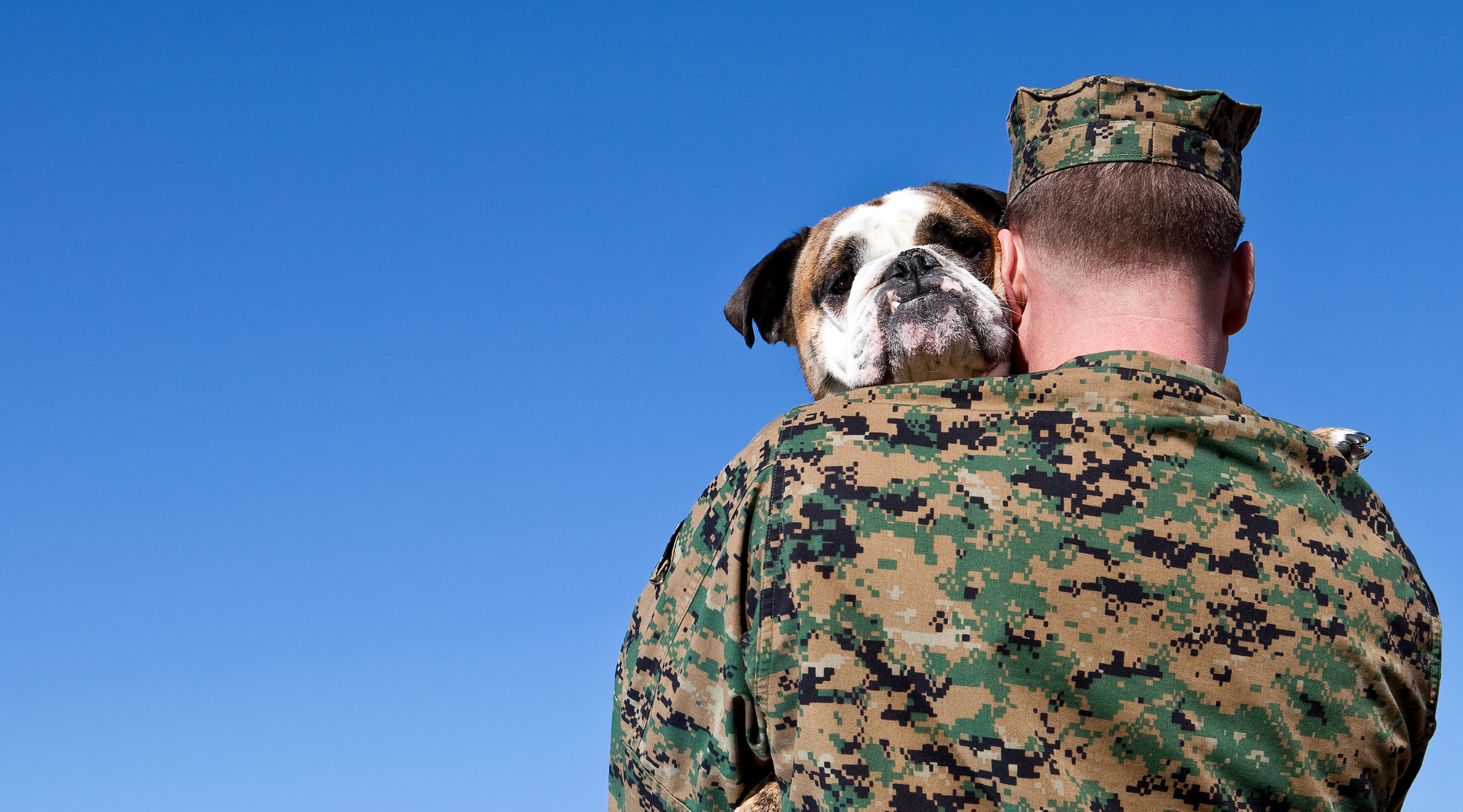 K9s For Warriors Facebook Fundraising Case Study